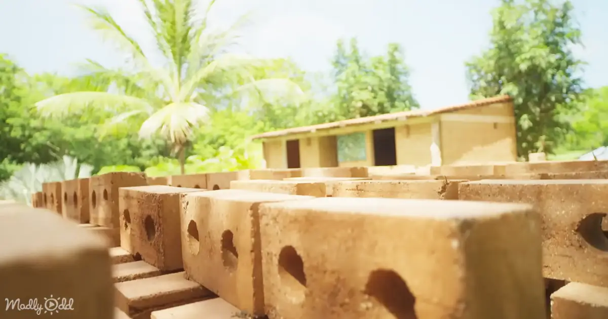 Ingenious Seaweed Bricks Clean Beaches and Build Futures